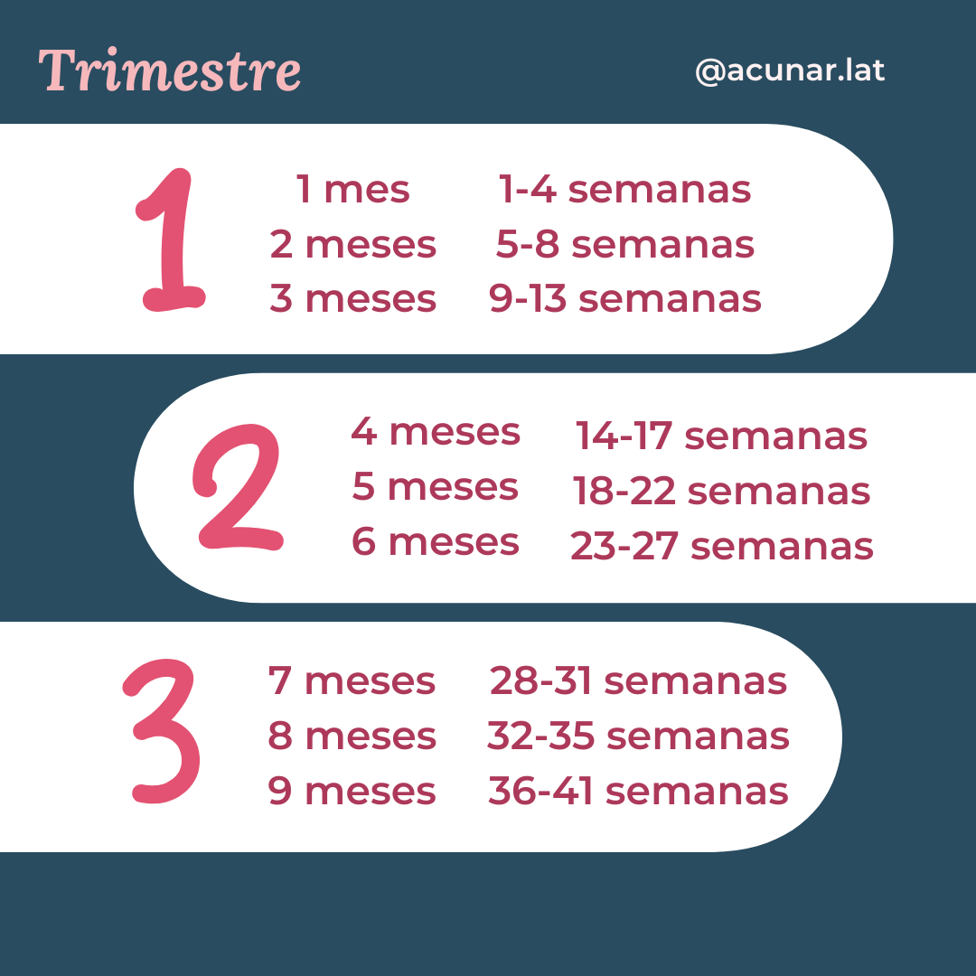 ¿Cuántos meses de embarazo tienes según tus semanas? + lista por ...