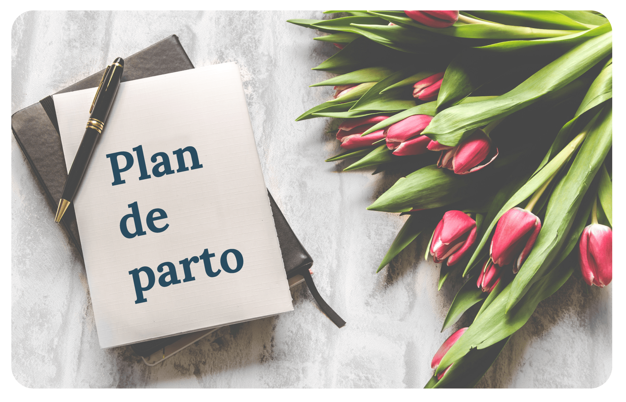 Recursos gratis sobre Plan de parto - Acunar